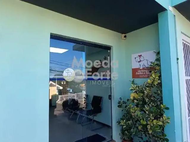 Loja / Comércio para Locação em Curitiba/PR Santa Felicidade
