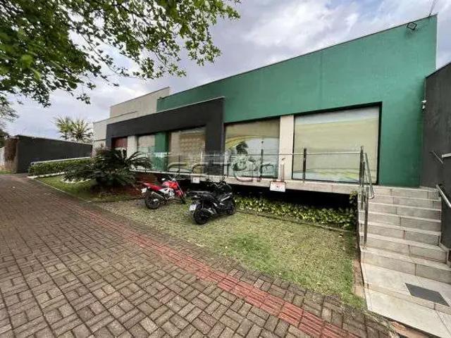 Loja / Comércio para Locação em Londrina/PR Jardim Presidente 1 Quartos