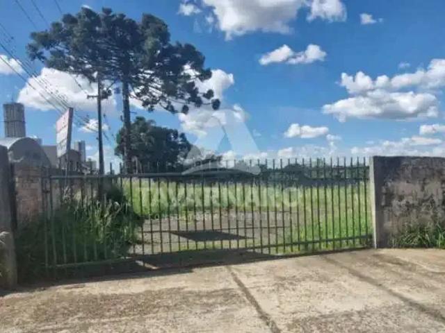 Loja / Comércio para Locação em Ponta Grossa/PR Oficinas