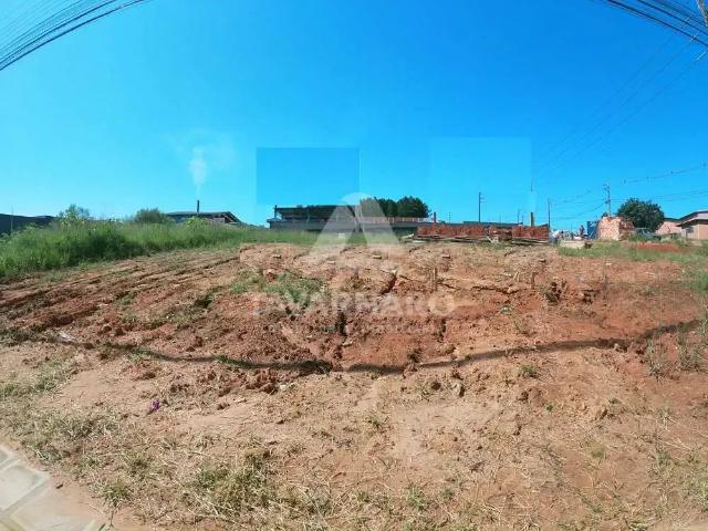 Loja / Comércio para Locação em Ponta Grossa/PR Jardim Carvalho