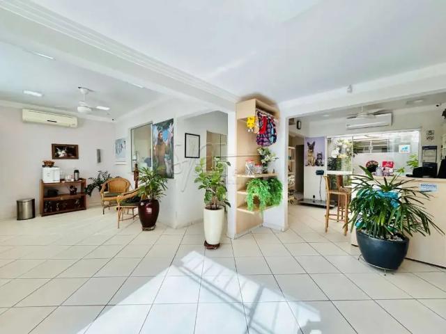 Loja / Comércio para Locação em Ribeirão Preto/SP Jardim Irajá