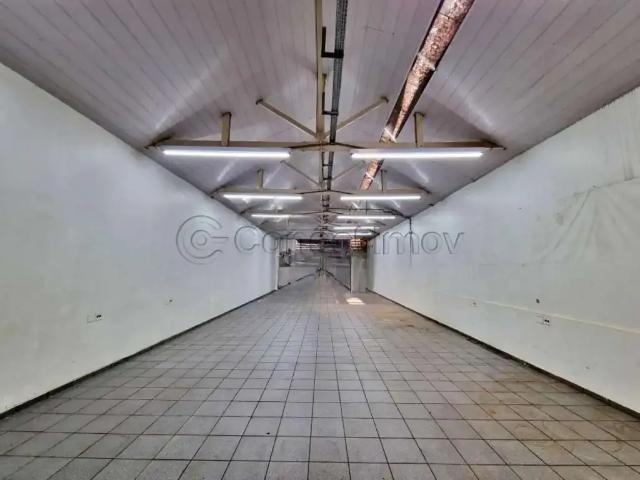 Loja / Comércio para Locação em Ribeirão Preto/SP Vila Carvalho