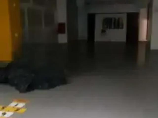 Loja / Comércio para Locação em Rio de Janeiro/RJ Vila Isabel