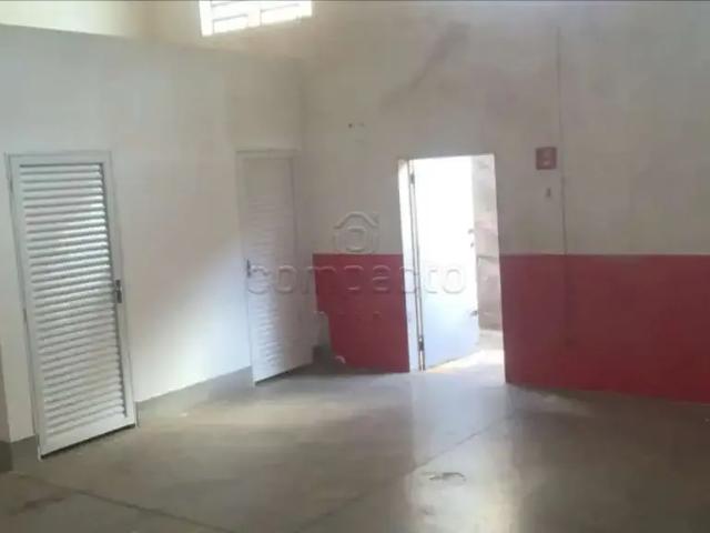 Loja / Comércio para Locação em São José do Rio Preto/SP Jardim das Oliveiras