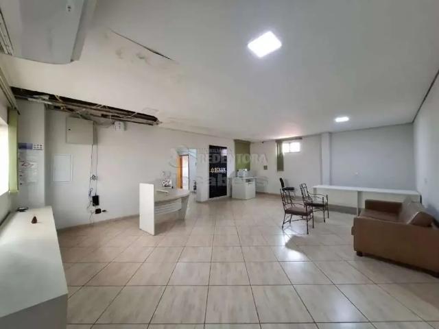 Loja / Comércio para Locação em São José do Rio Preto/SP Vila Maceno 7 Quartos