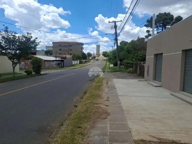 Loja / Comércio para Locação em São José dos Pinhais/PR Braga