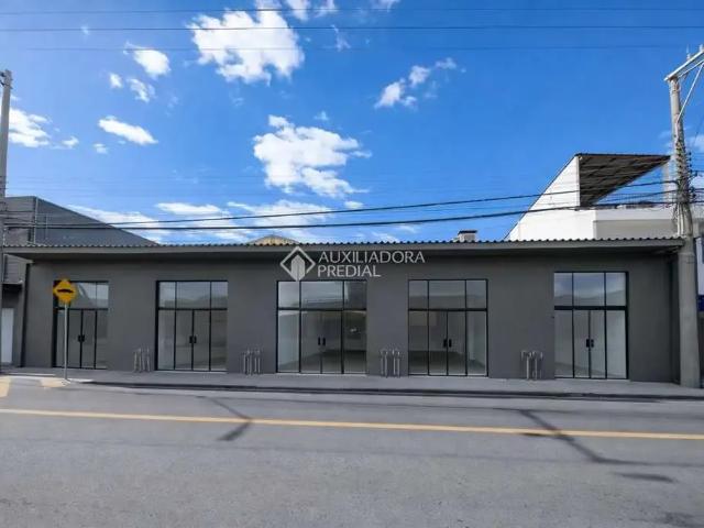 Loja / Comércio para Locação em São José/SC Ipiranga 1 Quartos