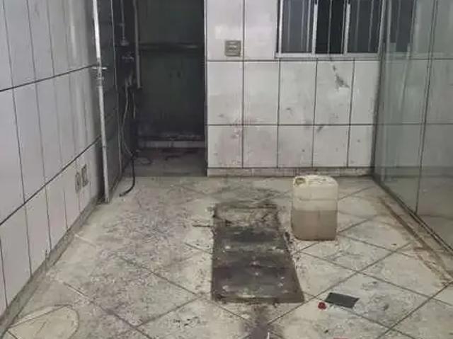 Loja / Comércio para Locação em São Paulo/SP Vila Azevedo