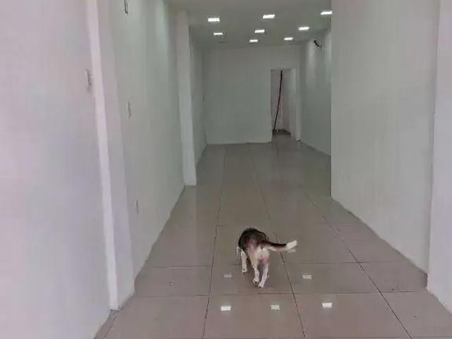 Loja / Comércio para Locação em Salvador/BA São Marcos
