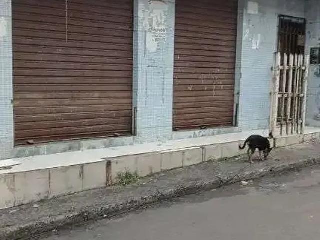 Loja / Comércio para Locação em Salvador/BA São Marcos