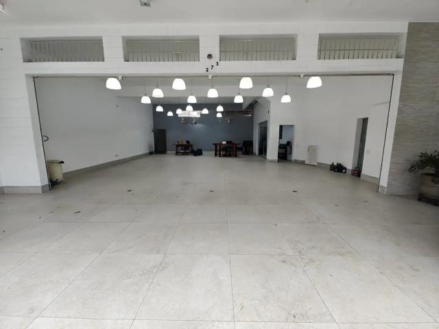 Loja / Comércio para Locação em Santos/SP Vila Mathias