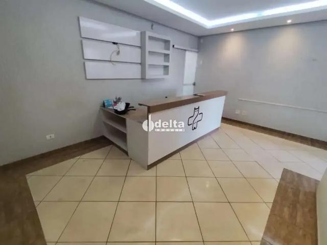 Loja / Comércio para Locação em Uberlândia/MG Centro 6 Quartos