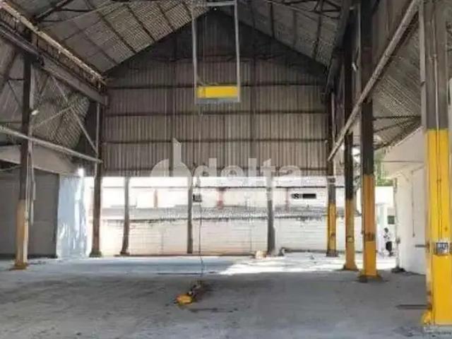 Loja / Comércio para Locação em Uberlândia/MG Distrito Industrial