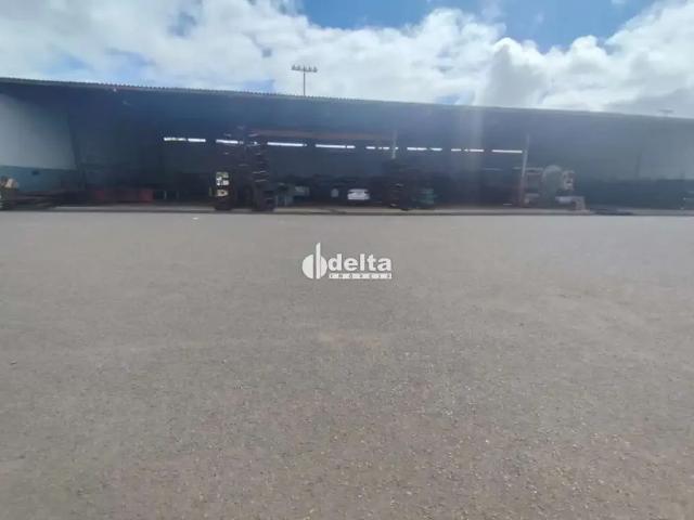 Loja / Comércio para Locação em Uberlândia/MG Distrito Industrial