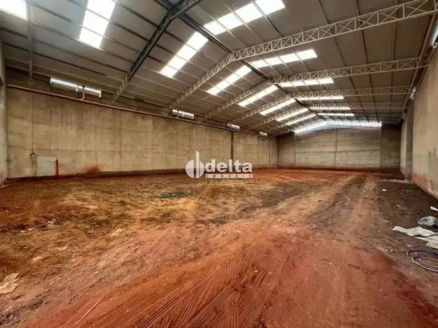 Loja / Comércio para Locação em Uberlândia/MG Distrito Industrial