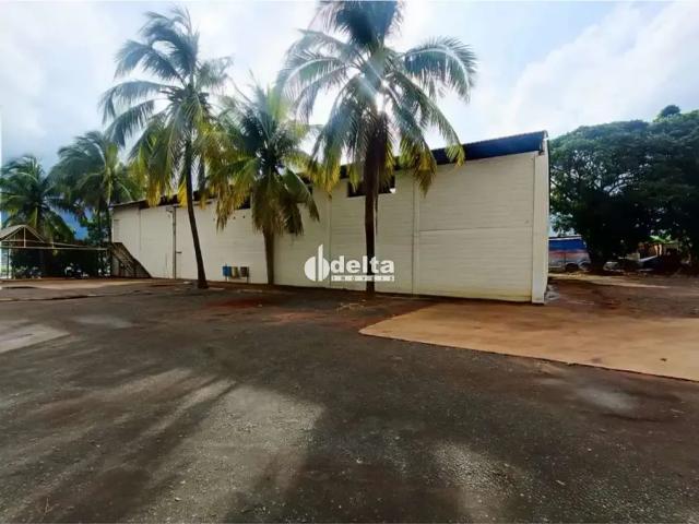 Loja / Comércio para Locação em Uberlândia/MG Distrito Industrial