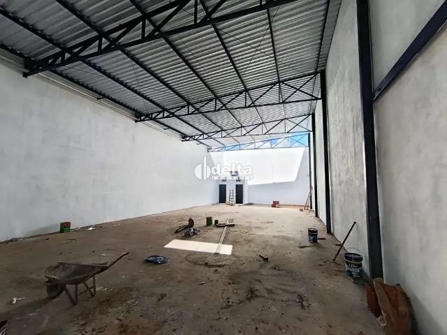 Loja / Comércio para Locação em Uberlândia/MG Residencial Fruta do Conde