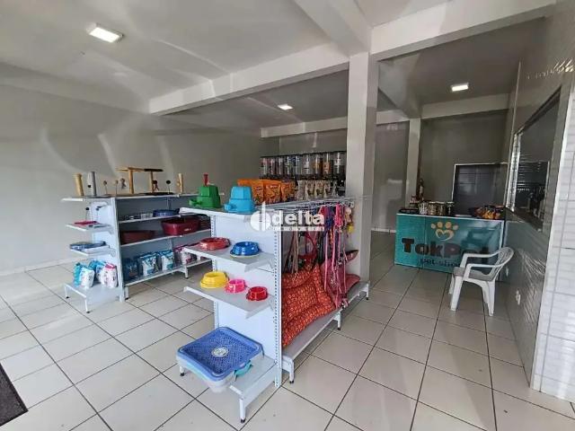 Loja / Comércio para Locação em Uberlândia/MG São Jorge