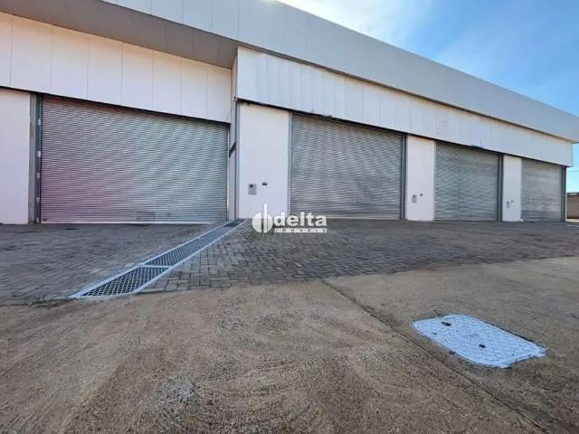 Loja / Comércio para Locação em Uberlândia/MG Santa Luzia