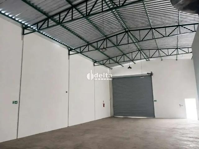 Loja / Comércio para Locação em Uberlândia/MG Santa Rosa