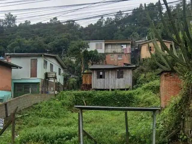 Loja / Comércio para Venda em Caxias do Sul/RS Reolon