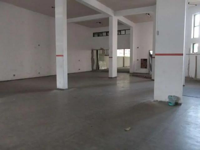 Loja / Comércio para Venda em Belo Horizonte/MG Horto