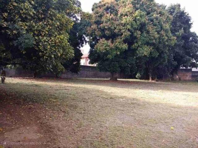 Loja / Comércio para Venda em Guarulhos/SP Jardim Cocaia