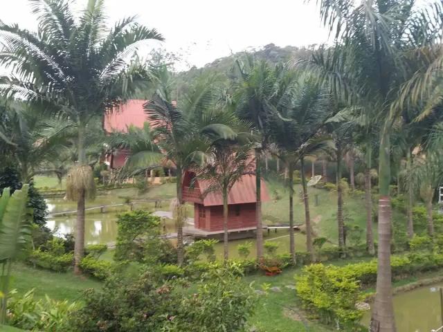 Loja / Comércio para Venda em Domingos Martins/ES Centro