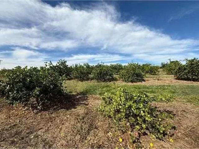 Loja / Comércio para Venda em Itapira/SP Área Rural de Itapira 4 Quartos