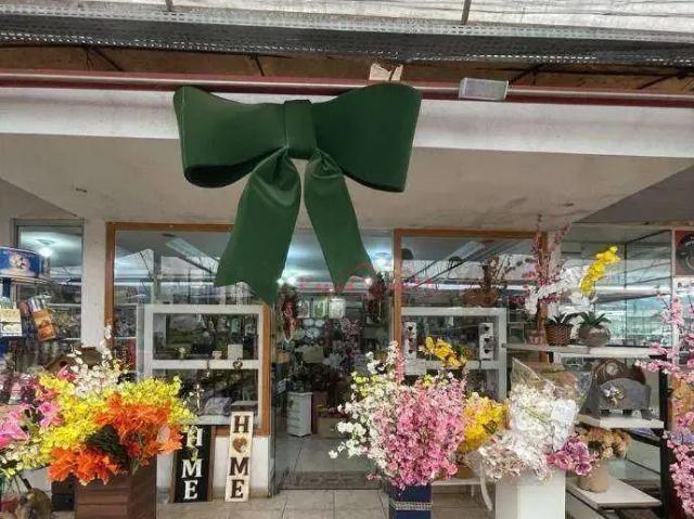 Loja / Comércio para Venda em Itaquaquecetuba/SP Jardim Carolina