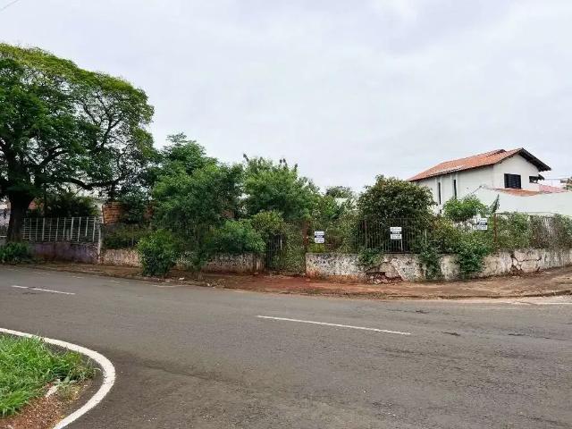Loja / Comércio para Venda em Londrina/PR Dom Pedro