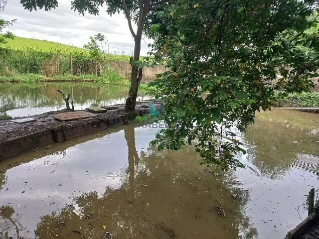 Loja / Comércio para Venda em Lorena/SP Aterrado