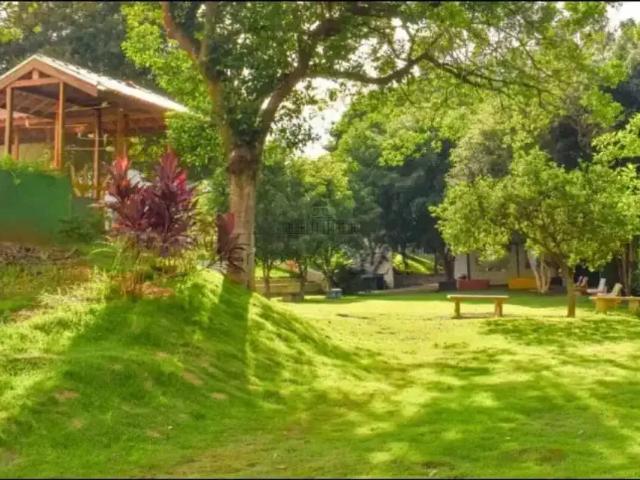 Loja / Comércio para Venda em São José dos Campos/SP Vila Ema