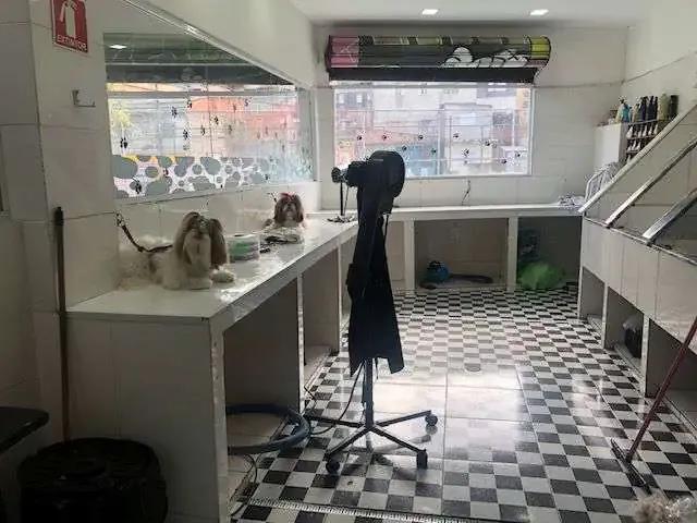 Loja / Comércio para Venda em São Paulo/SP Vila Renato Zona Leste