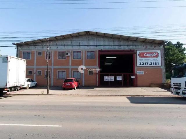 Loja / Comércio para Venda em Santa Maria/RS Camobi 6 Quartos