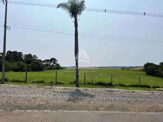 Loja / Comércio para Venda em Ponta Grossa/PR Jardim Carvalho
