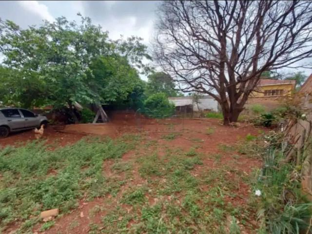 Loja / Comércio para Venda em Ribeirão Preto/SP Antônio Marincek