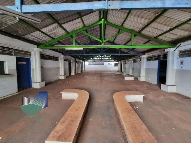 Loja / Comércio para Venda em Ribeirão Preto/SP Centro