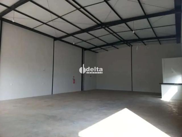 Loja / Comércio para Venda em Uberlândia/MG Novo Mundo