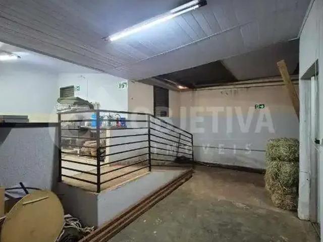Loja / Comércio para Venda em Uberlândia/MG Residencial Viviane