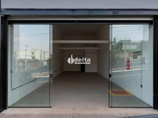 Loja / Comércio para Venda em Uberlândia/MG Vigilato Pereira