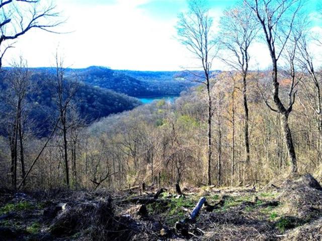 Lola Dr Lots 213 & 237, Smithville, TN 37166