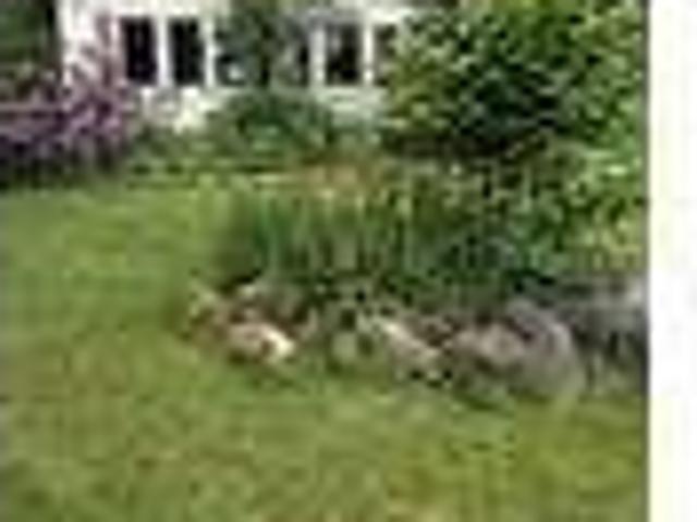 Lopez Island Farm Cottage