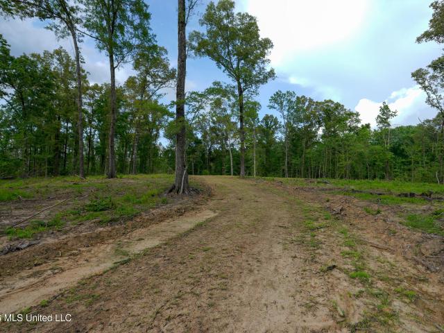 Lorance Road, Clinton, MS 39056