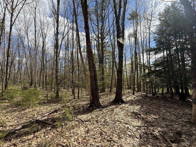 Lord Rd Lot E, Buxton, Plot For Sale