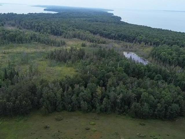 Lore Rd, Central Lake, MI 49622