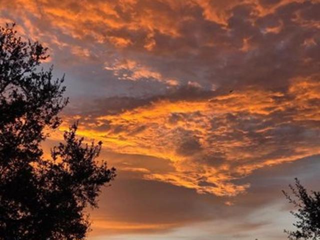 Lorene Ln, Fallbrook, CA 92028