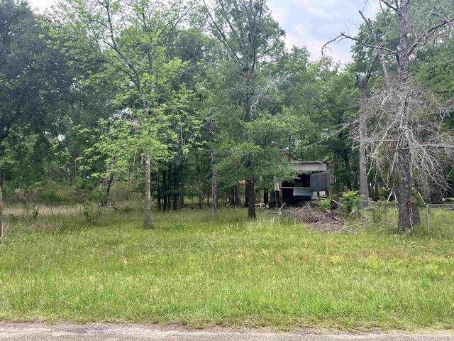 Lori Dr, Karnack, TX 75661