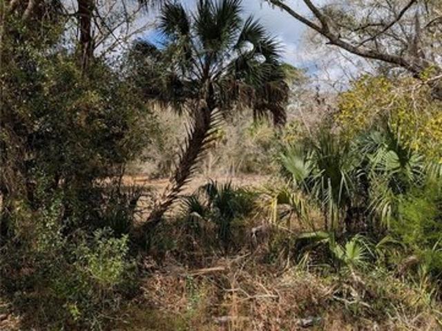 Lorie St, Inglis, FL 34449