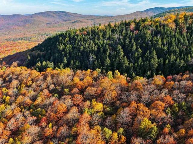 Lost Nation Rd, East Haven, Plot For Sale